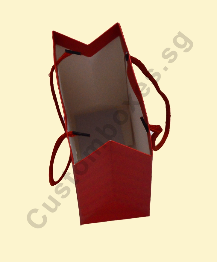 Custom Printed Paper Bags - Custom Boxes SG