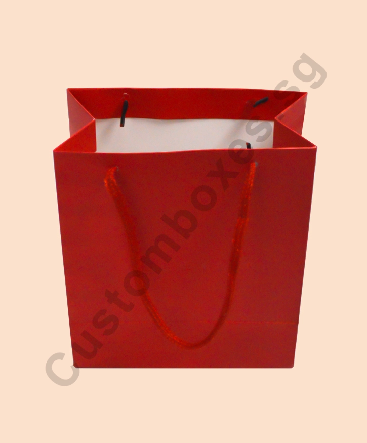 Custom Printed Paper Bags - Custom Boxes SG