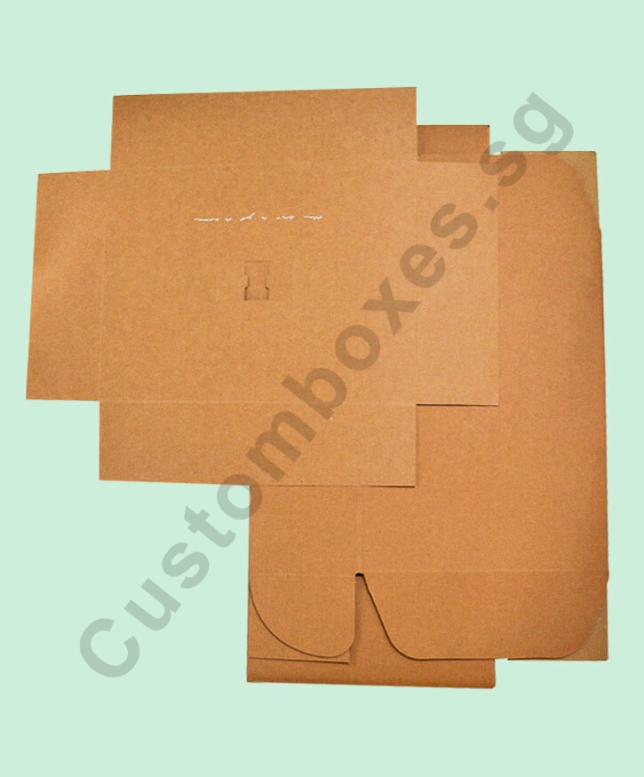 Corrugated Mailer with Insert Box in Singapore