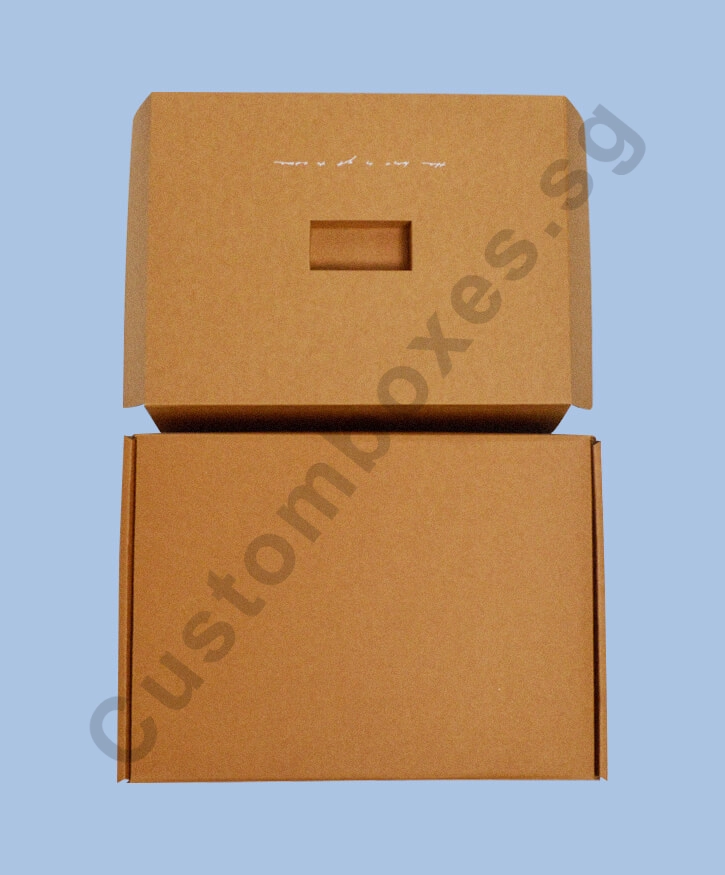 Corrugated Mailer with Insert Box in Singapore