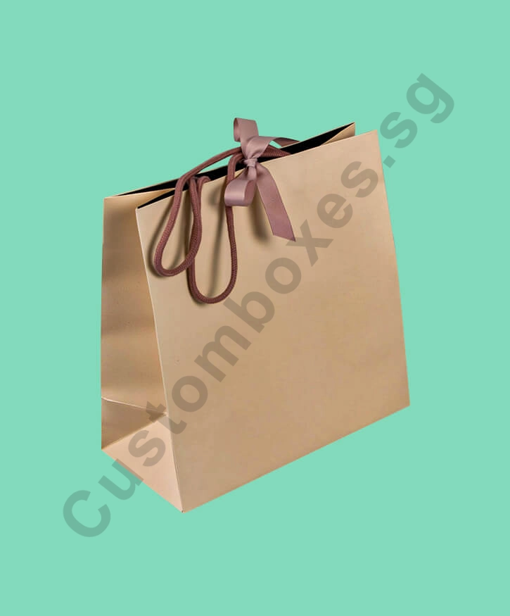 Custom Paper Bags with Middle Ribbons [Singapore]