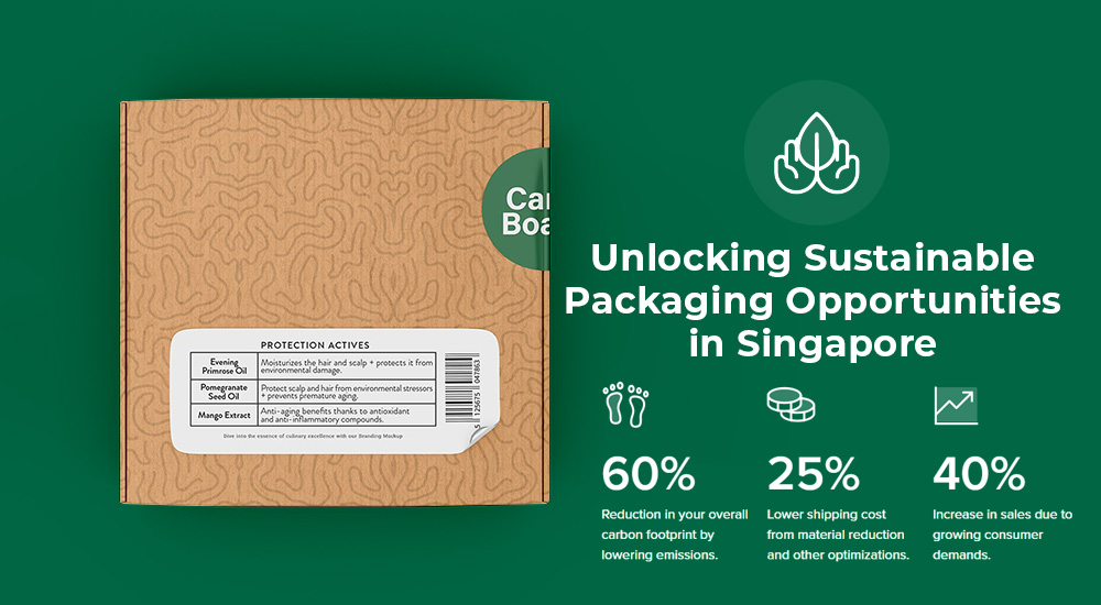 Unlocking Sustainable Packaging Opportunities in Singapore